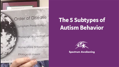 The 5 Subtypes of Autism Behavior: Live Q&A – Spectrum Awakening