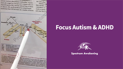 Focus Autism & ADHD: Live Q&A – Spectrum Awakening