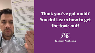 Think you've got mold? You do! Learn how to get the toxic out ...