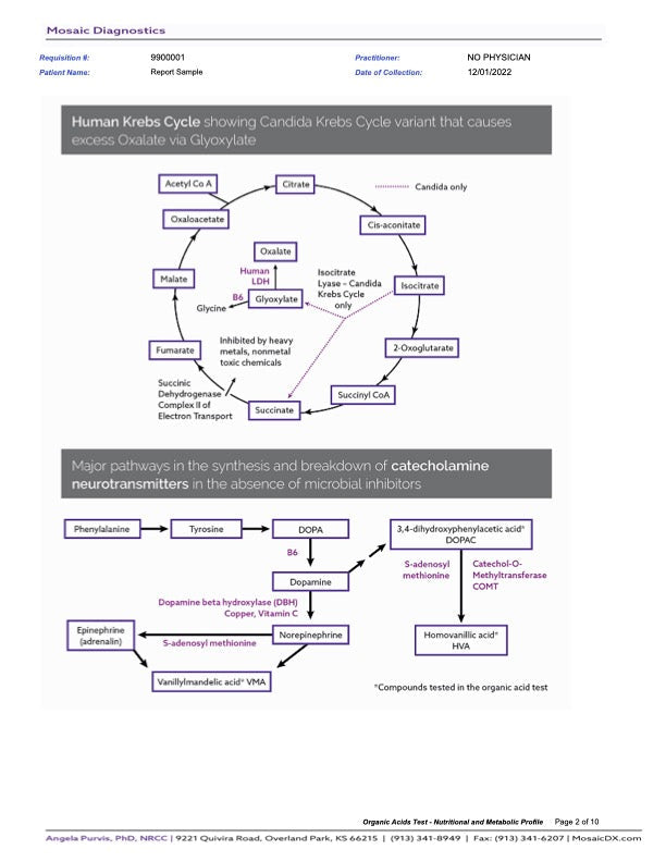 OAT - Organic Acid Test – Spectrum Awakening