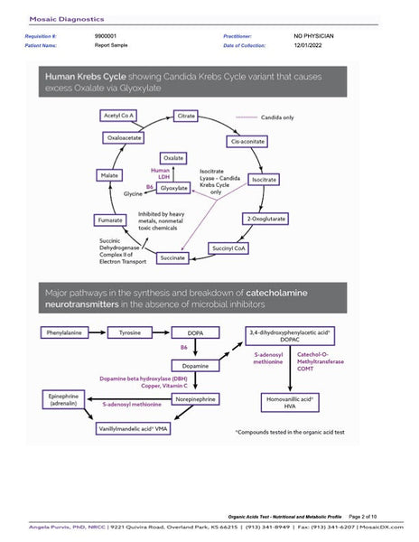 OAT - Organic Acid Test – Spectrum Awakening