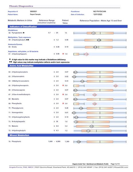 OAT - Organic Acid Test – Spectrum Awakening