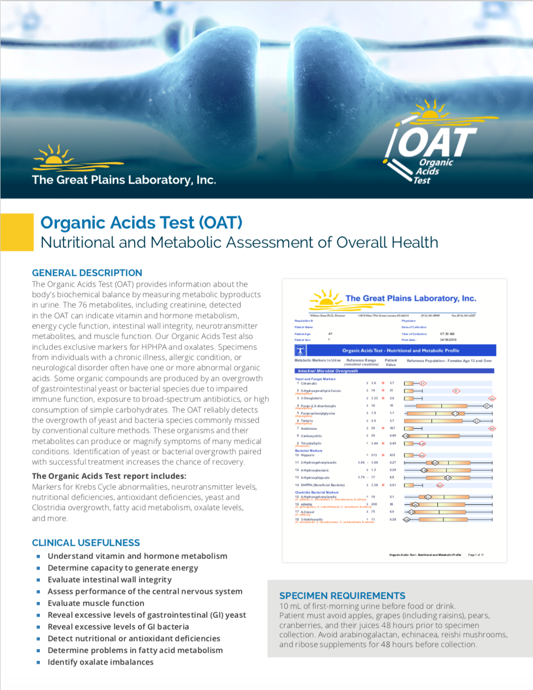 OAT - Organic Acid Test – Spectrum Awakening